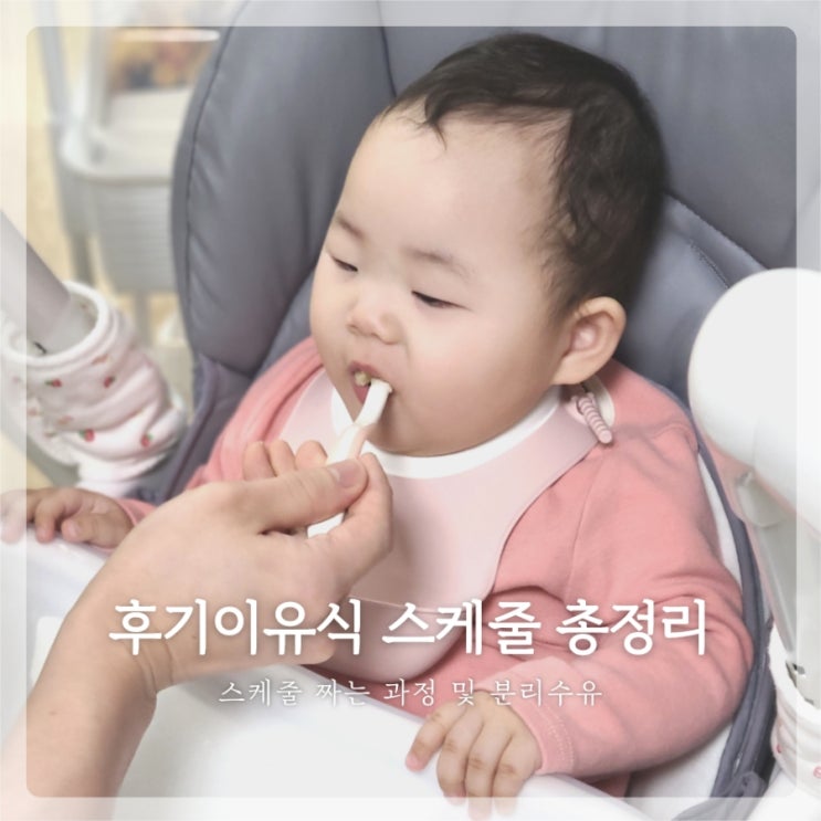 후기이유식 스케줄 분리수유 과정 총정리 네이버 블로그