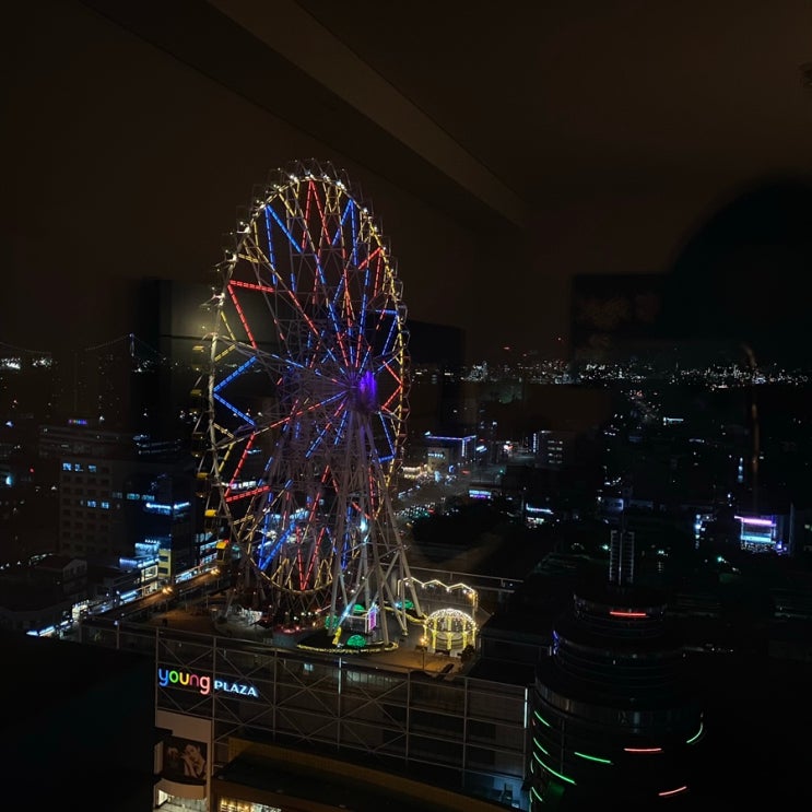 울산호텔 울산롯데호텔 디럭스더블 관람차뷰 투숙후기 조식수영장사우나피트니스센터 네이버 블로그