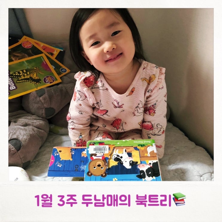 우리아이 독서습관 프로젝트 3주차 책육아 기록 네이버 블로그