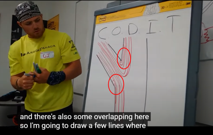 나무에 상처가 발생하면 "나무는 스스로 이 상처를 구획화한다 CODIT(compartmentalization of decay ...