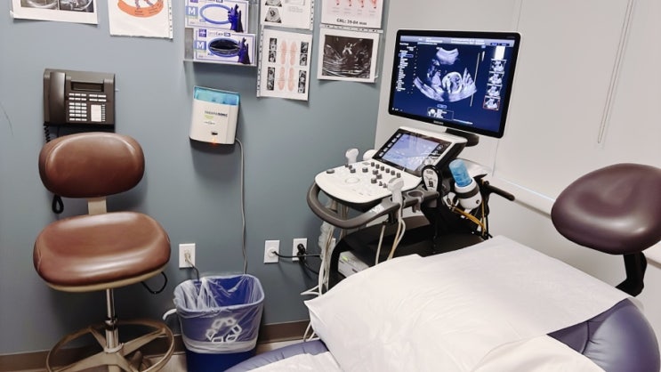 임신기간 받게 되는 산전검사 총정리 NIPT, NT, Anatomy Sonogram, Glucose screen test ...