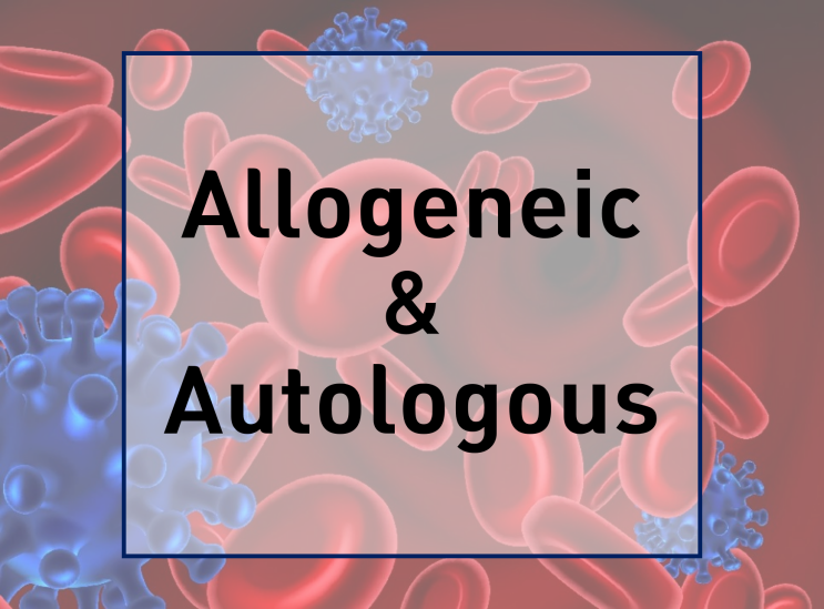 Allogeneic과 Autologous : 네이버 블로그