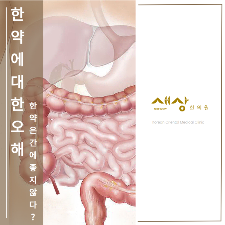 한약에 대한 진실 혹은 오해 한약이 간 건강에 해롭다고요 논현동 한의원에서 시원하게 알려드립니다 네이버 블로그