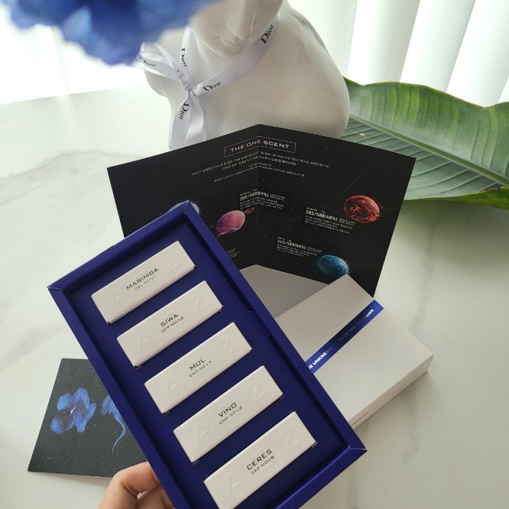 365일 추천 커플향수 AOZ : 네이버 블로그