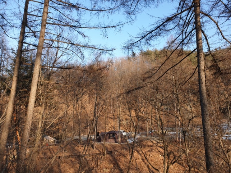 국립화천숲속야영장.동계캠핑 팩박기. : 네이버 블로그