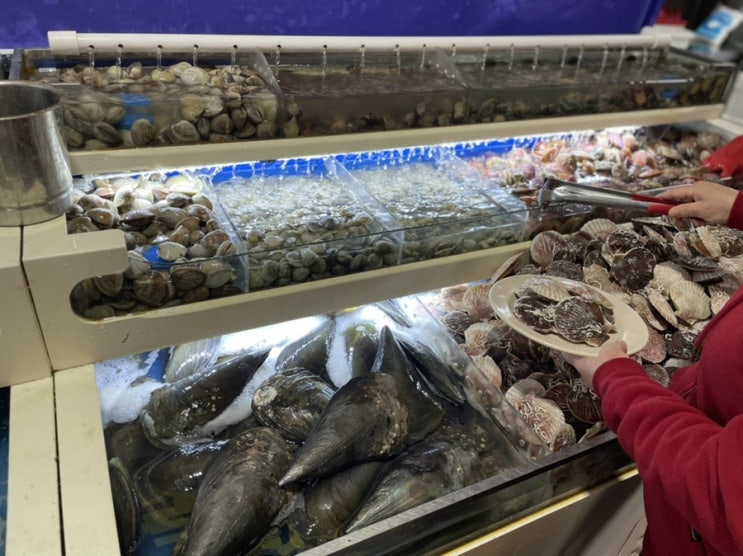 보람동 맛집 세종 조개창고 소고기 조개구이 무한리필 네이버 블로그