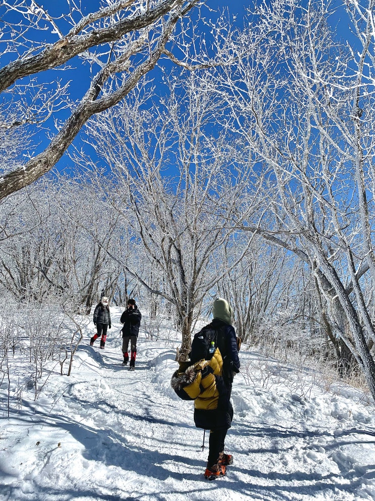 겨울산행조짐 계방산눈꽃산행운두령코스최저기온영하18도등산 네이버 블로그