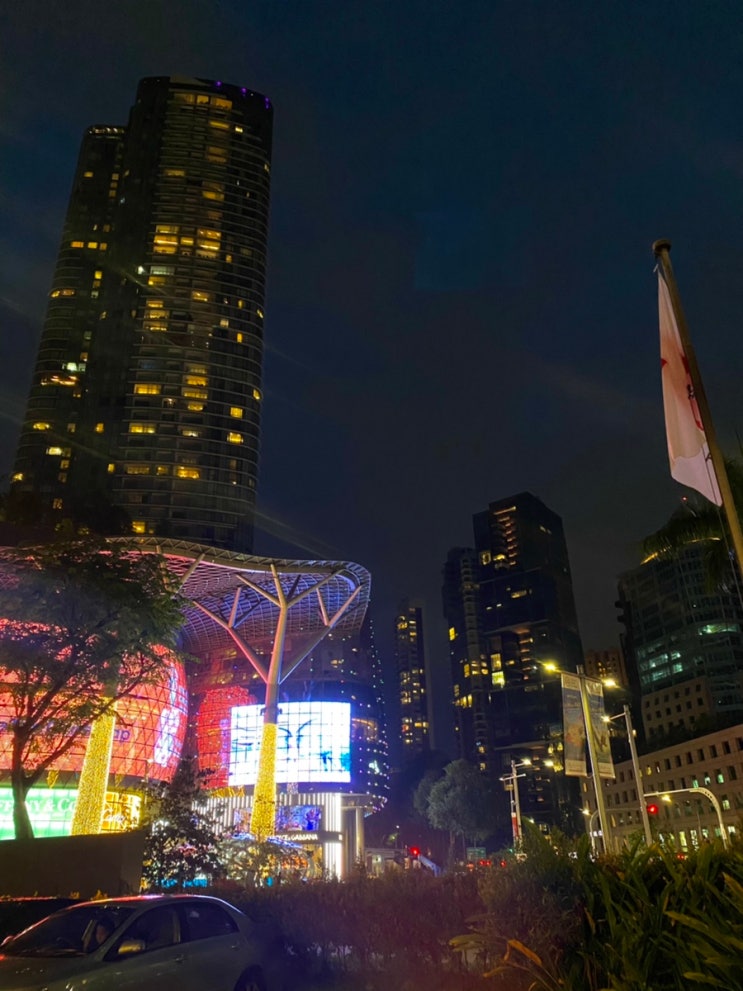 [싱가포르 일상 #02] bishan역 쇼핑몰 junction 8, 생활용품구매하기 , 집꾸미기, 이지링크카드 구매, mrt타기 ...