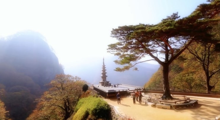 한국기행 634편 돌고 돌아 경북 3대오지 봉화, 영양, 청송 청량산 청량정사 산꾼, 포산 마을 : 네이버 블로그