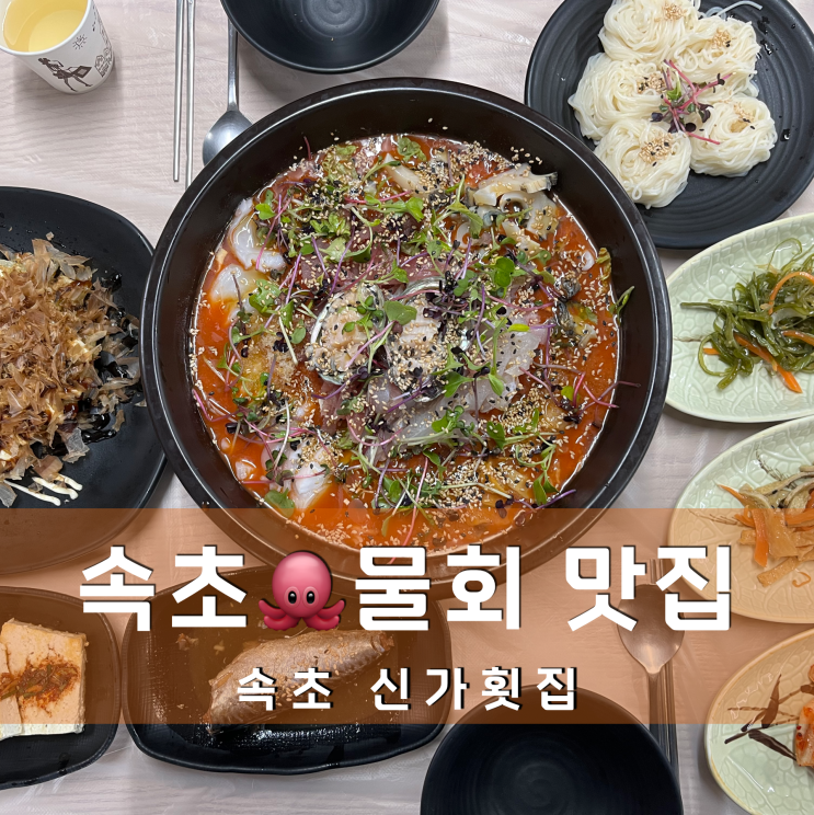 문어가득 속초 물회 회포장 맛집 동명항 신가횟집 네이버 블로그