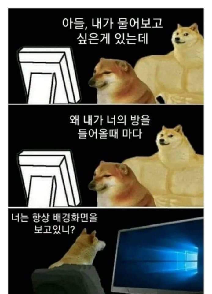 웃고가자!웃긴 짤 모음 2탄이 왔다! : 네이버 블로그