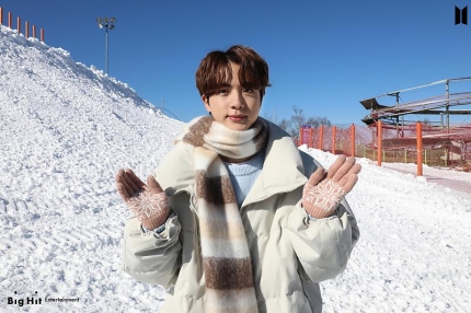 방탄소년단 진, 1st place in 'Idols of the Ice Prince that are perfect for ...