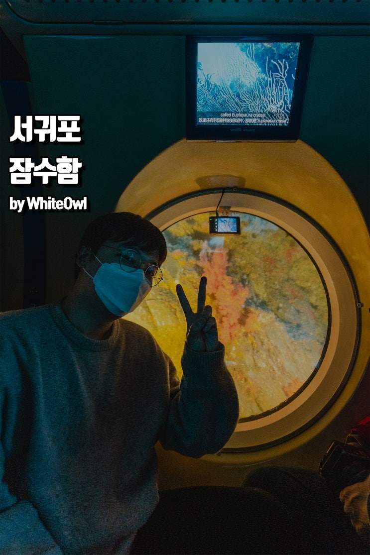 제주 가볼만한곳 새연교 근처 이색체험 제주도 서귀포 잠수함 네이버 블로그
