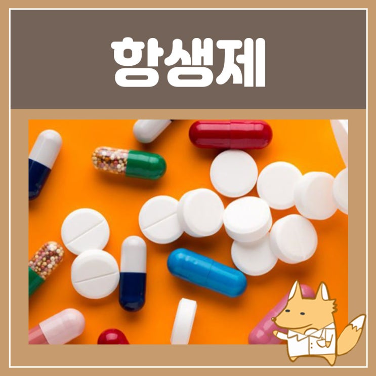 항생제 바난정 항생제 내성 설사 졸음 붓기 부작용 복용기간 알아보자 네이버 블로그