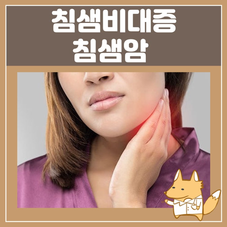 침샘비대증 침샘암 증상 침샘 귀밑 부음 귀밑 턱밑 몽우리 목뒤 귀뒤 멍울 오른쪽 귀뒤 통증 귀 뒤에 혹 네이버 블로그