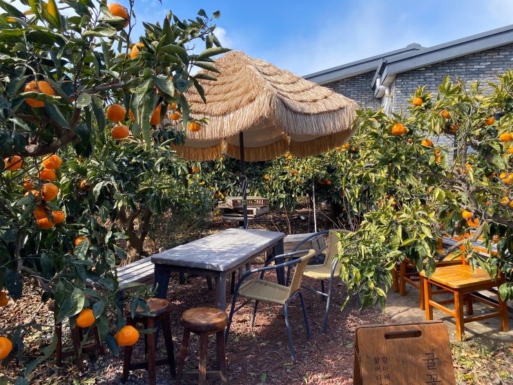 겨울 제주도 여행 / 눈오는날 제주 / 2박3일 커플 여행 / 제주 관광지 추천 비추천 / 기념품 추천 : 네이버 블로그