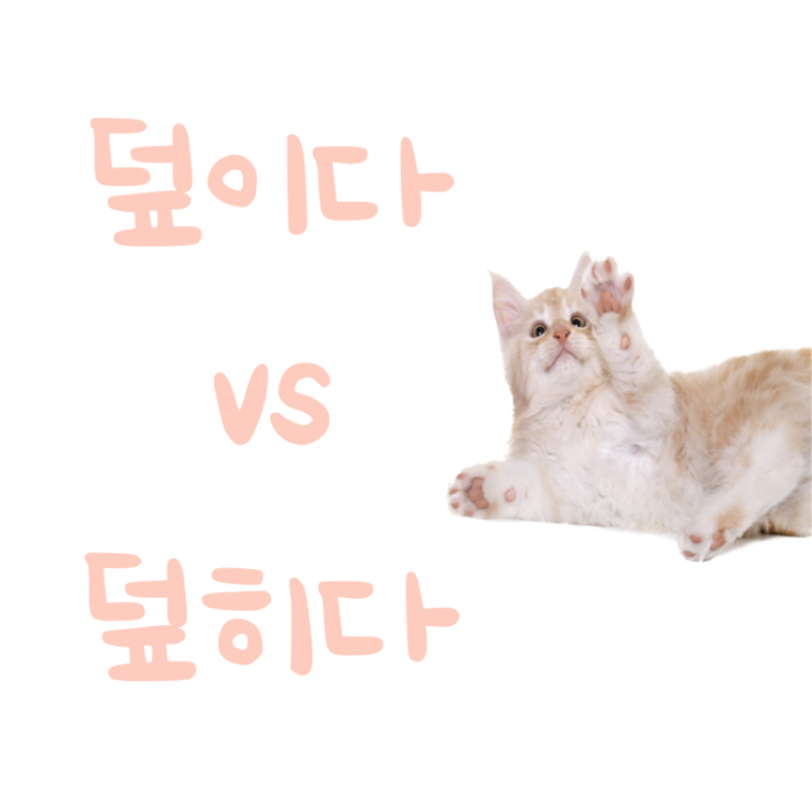 덮이다 덮히다 중 맞는 것은 덮힌 덮인 네이버 블로그