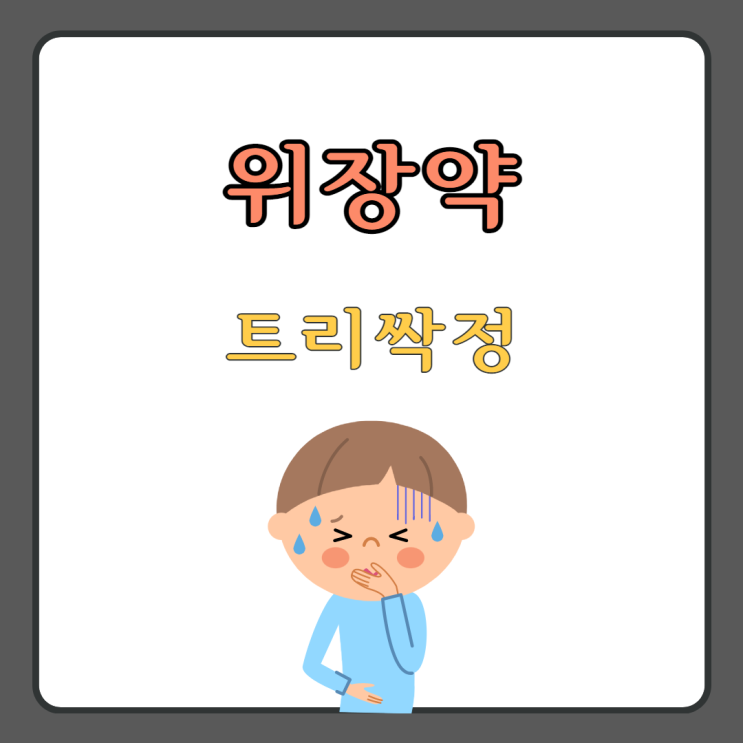 트리싹 효능 속울렁거림 설사 구역질증상 위장약 위장운동 조절 네이버 블로그