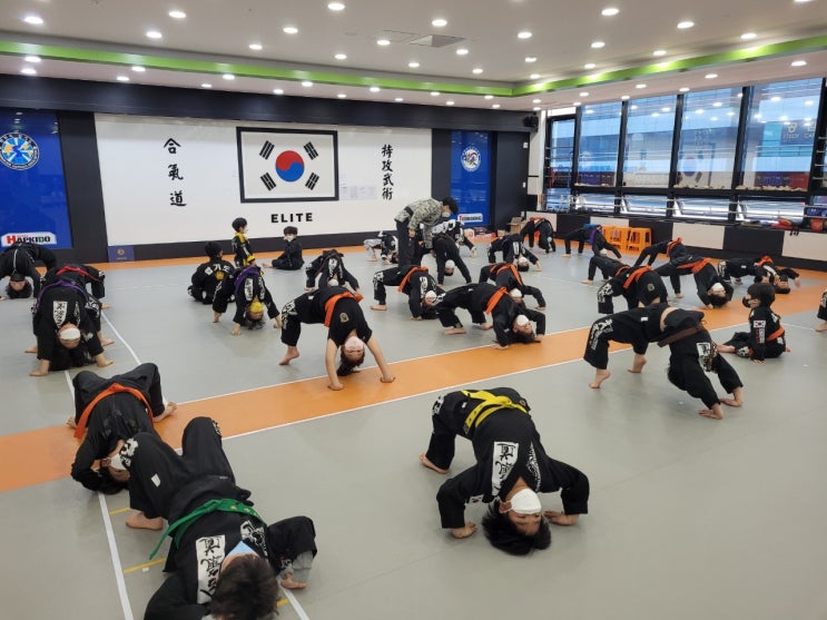 옥길동 엘리트합기도킥복싱 체조 낙법 수련모습 옥길동태권도 네이버 블로그