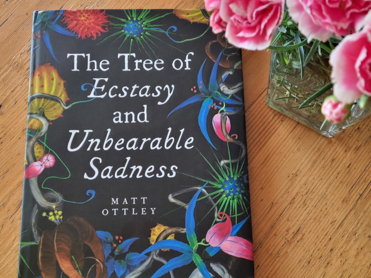 The Tree of Ecstasy and Unbearable Sadness : 네이버 블로그