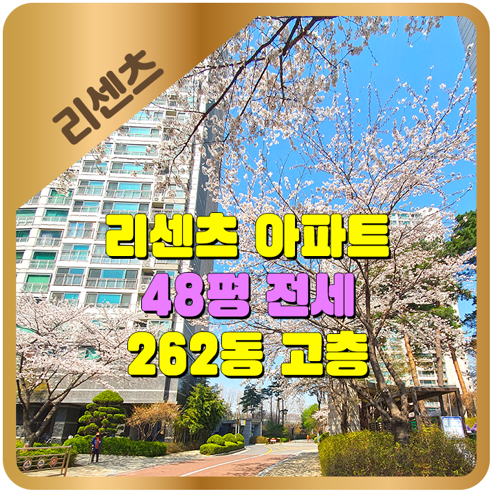 잠실리센츠아파트 48평 전세 한강조망 262동 고층 즉시 입주 가능 전세 네이버 블로그