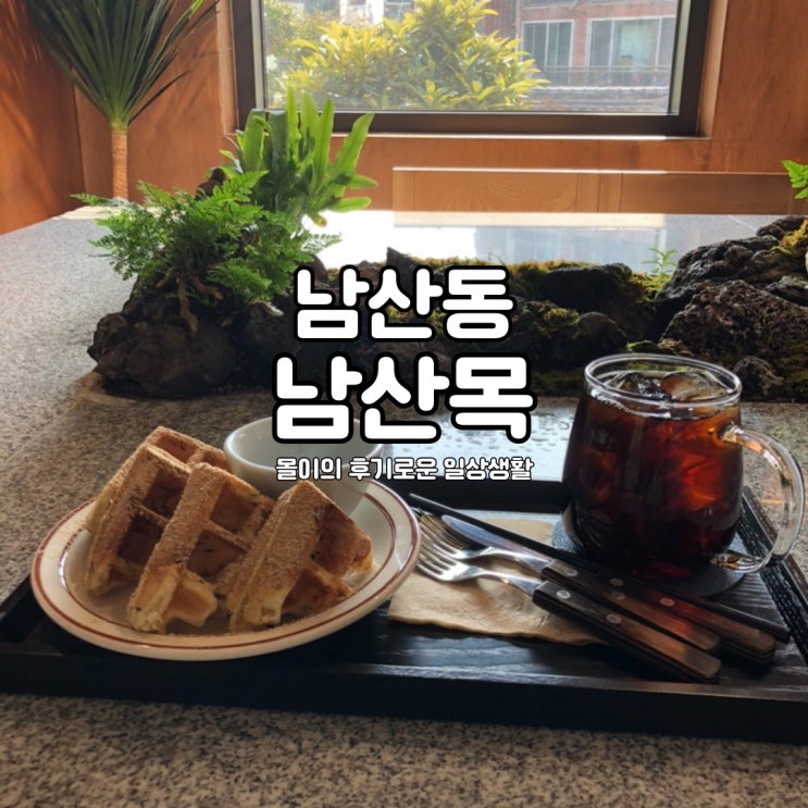 부산 남산동카페 조용한 분위기 햇살 맛집 예쁜 주택개조 카페 남산목 ㄴㅅㅁ 네이버 블로그