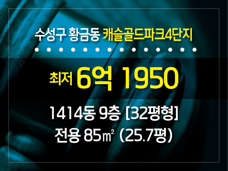 황금동 캐슬골드파크4단지 수성구아파트경매 2021타경102713 네이버 블로그