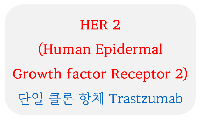 항암제 개발 이야기 실전편 유방암 3부 Her2 양성 치료제 네이버 블로그