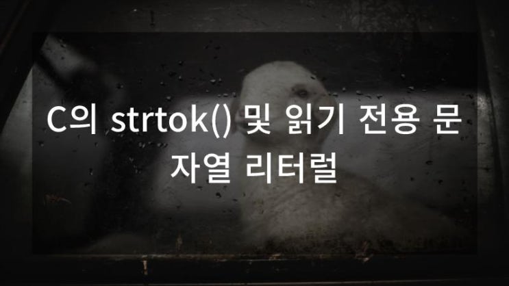 C의 strtok() 및 읽기 전용 문자열 리터럴 : 네이버 블로그