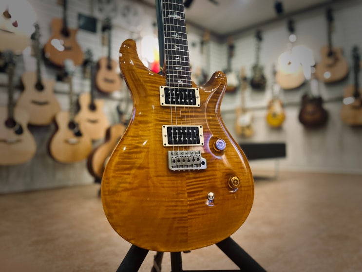 PRS CU24 : 네이버 블로그