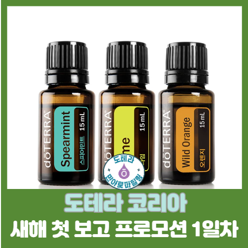 도테라 코리아 새해 첫 보고 프로모션 네이버 블로그