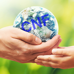 CNF 활용 확대, 관련주식 : 네이버 블로그