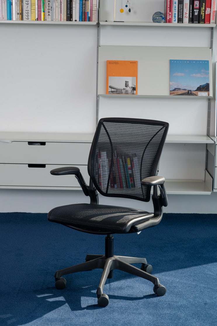 휴먼스케일 월드원 체어 World One Chair (ft.올-매쉬소재) : 네이버 블로그