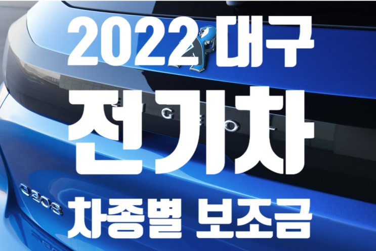 2022년도 대구 전기차 보조금 차종별 세부 보조금 포함 네이버 블로그