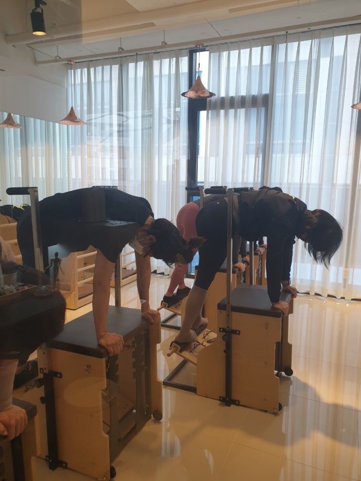 오창필라테스 코로나19따위 필테로 이겨버리잣 에비뉴필라테스 일상 네이버 블로그