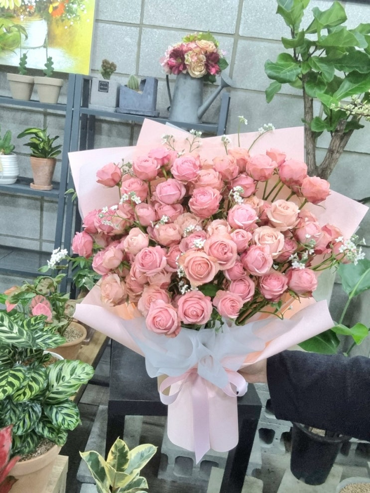 100송이꽃다발기념일꽃다발마산삼계꽃집마산호계꽃집내서삼계꽃집내서호계꽃집내서꽃집중리꽃집창원꽃집함안꽃집칠원꽃집뵈뵈