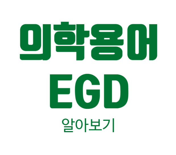 의학용어 EGD : 위 내시경 의학용어 알아보기 : 네이버 블로그