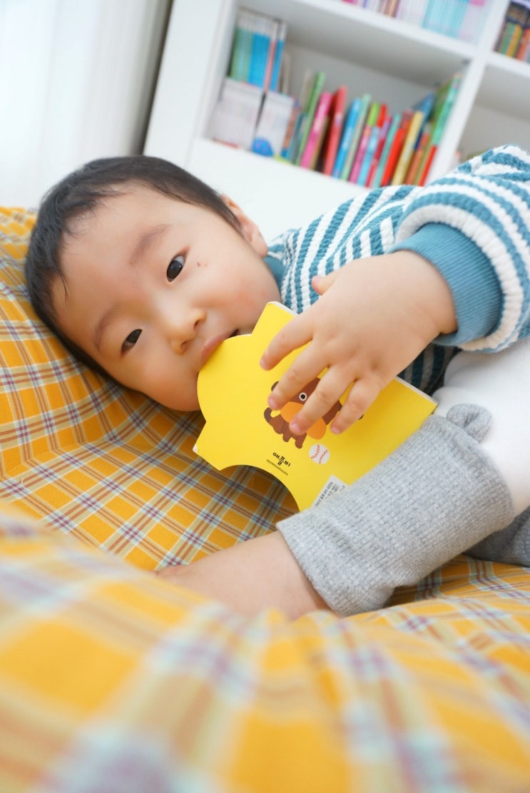 복지로 어린이집 보육료 전환 사전신청 방법 종일반 신청 자격 네이버 블로그