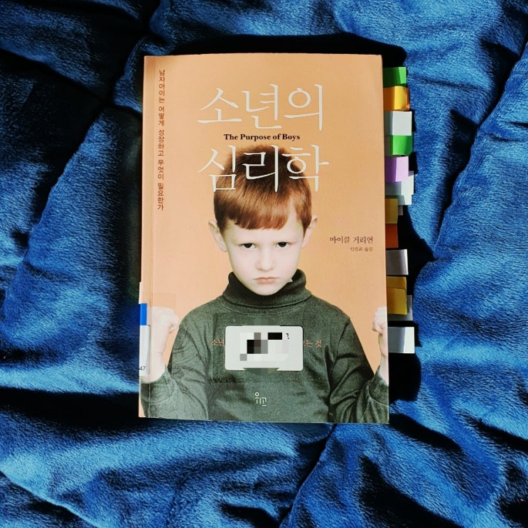 위기의 소년들 교육이 문제다소년의 심리학 마이클 거리언 위고 2013 네이버 블로그