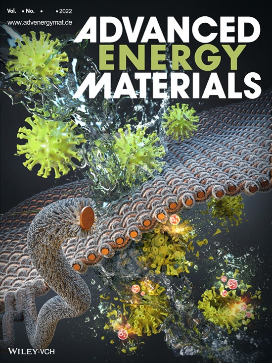 Wiley_ADVANCED ENERGY MATERIALS/논문삽화이미지,sience 논문삽화 : 네이버 블로그