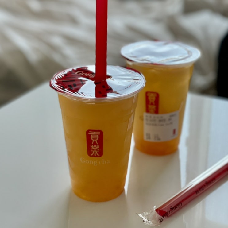 공차 티데이 T Day 11 망고 요구르트화이트펄🥤 상큼하고 달달한 버블티 네이버 블로그