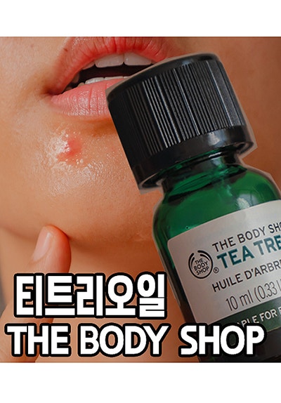 더바디샵 티트리오일로 간지러운 초기 여드름 트러블 관리중 네이버 블로그