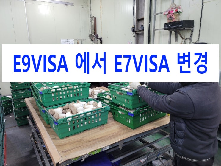 e9_e10_h2비자에서 e7비자(점수제) 변경(Change e9visa to e7visa) : 네이버 블로그
