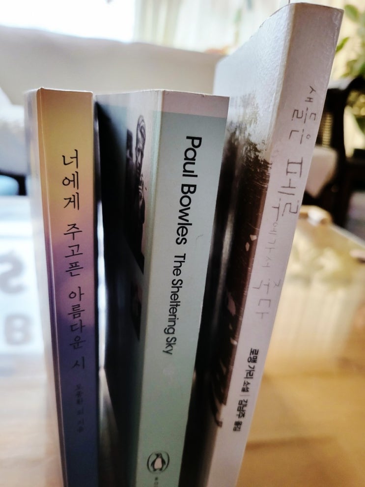 매일일기301 블로그씨와 독서 이야기 & Ring Pop Jax : 네이버 블로그