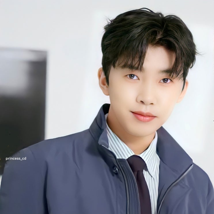 임영웅 월메이드 HERO SAFARI JACKET 🌱 3월도웅코디👍다채로운 매력 콘텐츠영향력1위 😍 : 네이버 블로그