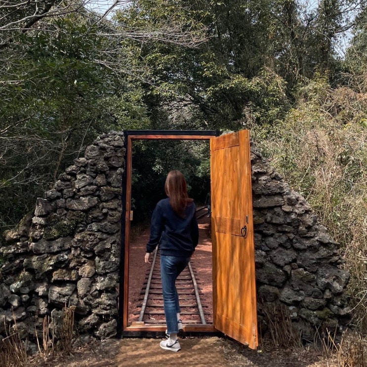 프로 출장러가 꼽은 3월 제주도 여행코스 : 네이버 블로그