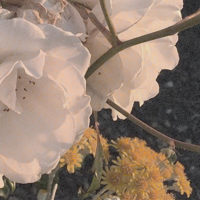 Clairo - Pretty Girl 가사/해석/번역 : 네이버 블로그