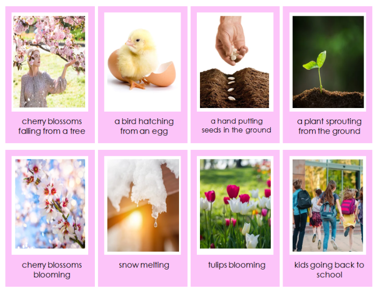 Spring Words (Go Fish Game) : 네이버 블로그