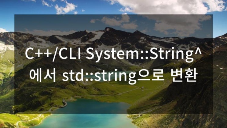 C++/CLI System::String^에서 std::string으로 변환 : 네이버 블로그