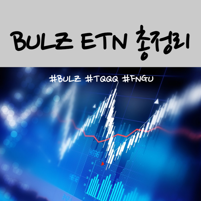 빅테크 레버리지 BULZ ETF 총정리 : 네이버 블로그